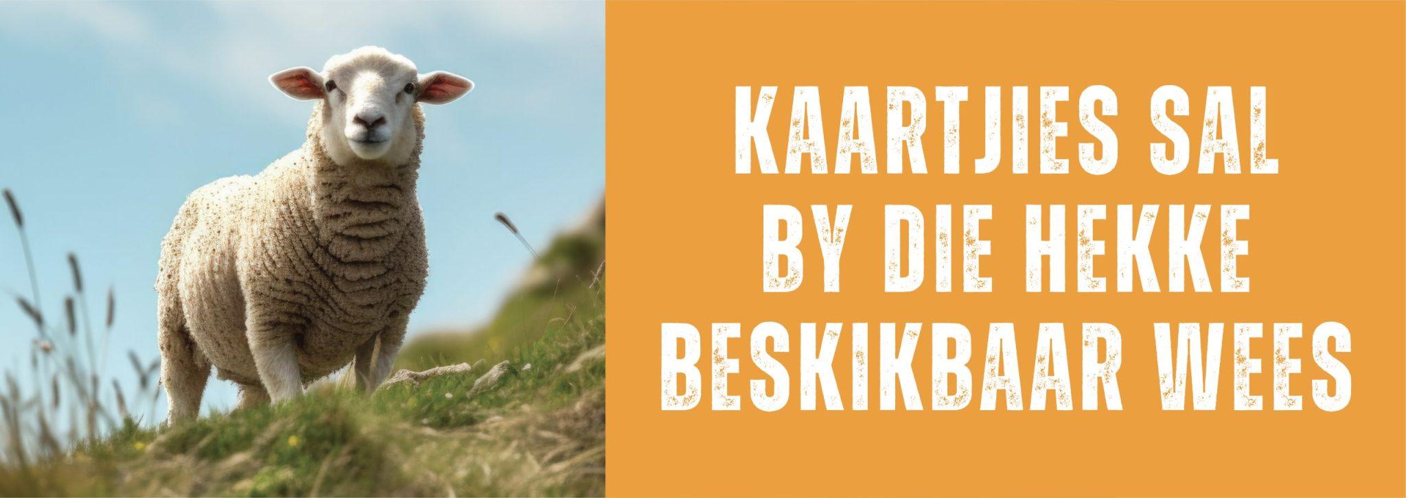 Kaartjies - Hantam Vleisfees